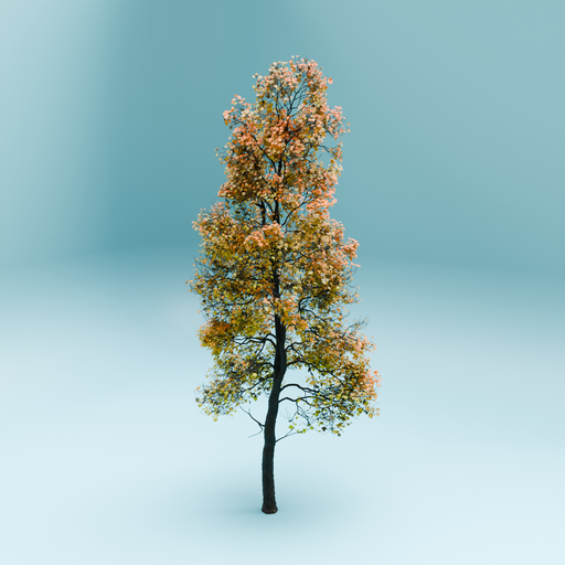 Tree variation in autumn 03 | FREE Trees models | BlenderKit