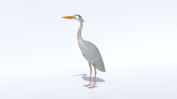 Low Poly Great Blue Heron | Birds models | BlenderKit