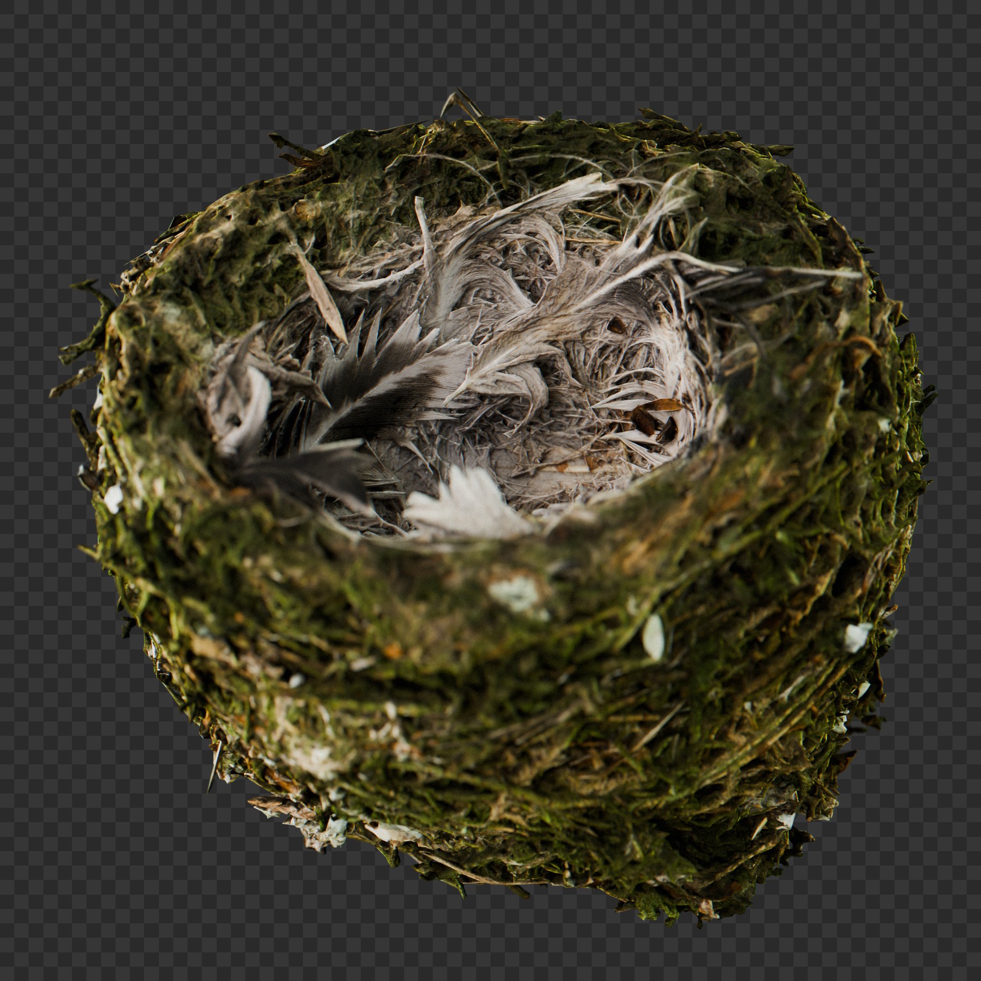 Bird Nest | FREE Nature models | BlenderKit