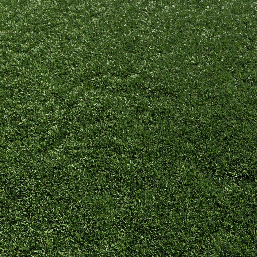 grass 1x1 m basic uncut | FREE Grass models | BlenderKit