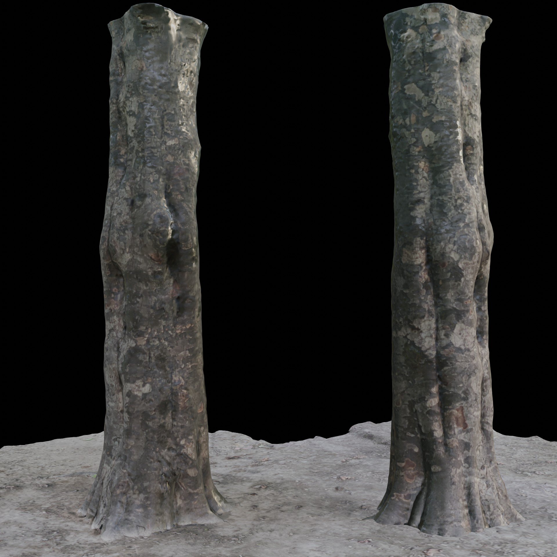 Tree | FREE Trees models | BlenderKit