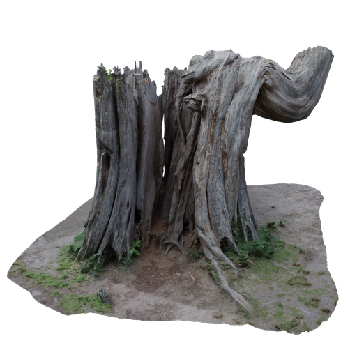 Tree Trunk in the Forest | Trees models | BlenderKit
