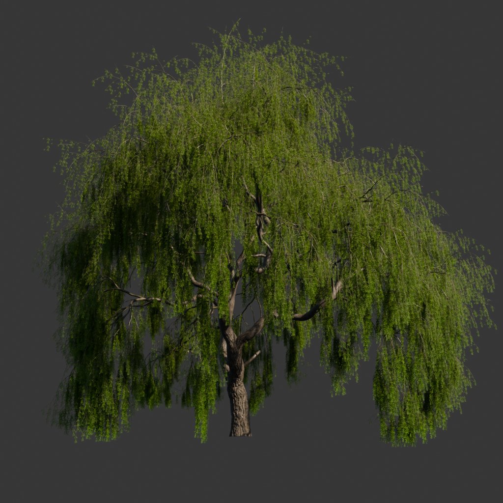 Anime Tree | FREE Trees models | BlenderKit