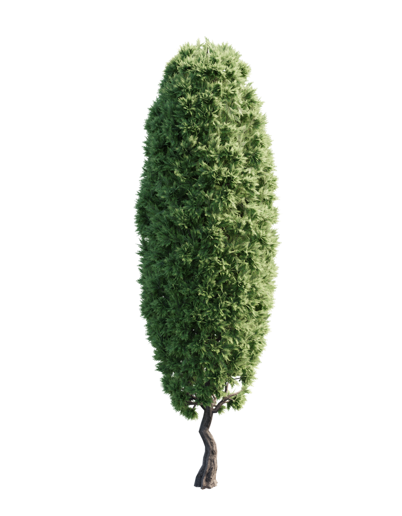 Tree | Trees models | BlenderKit