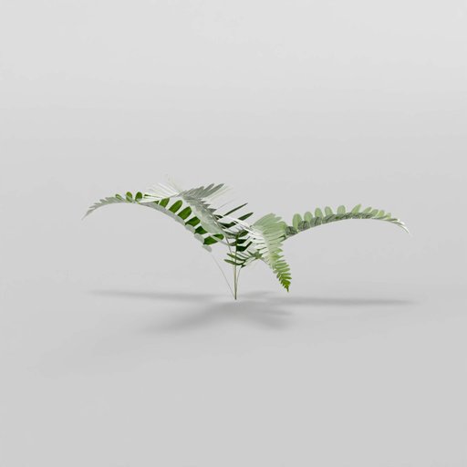 Fern | Outdoor Plants models | BlenderKit