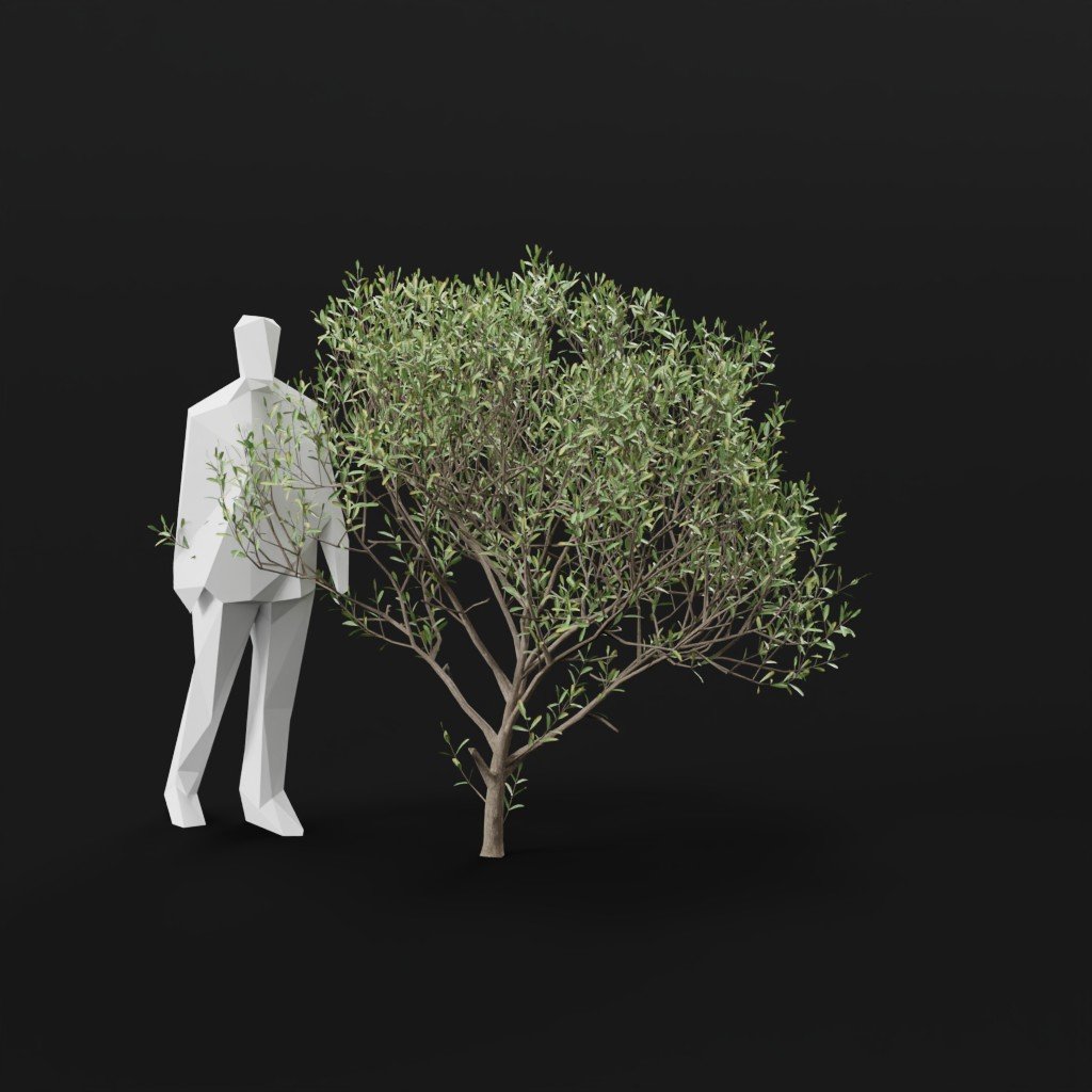 Olive Tree Decay Small | Trees models | BlenderKit