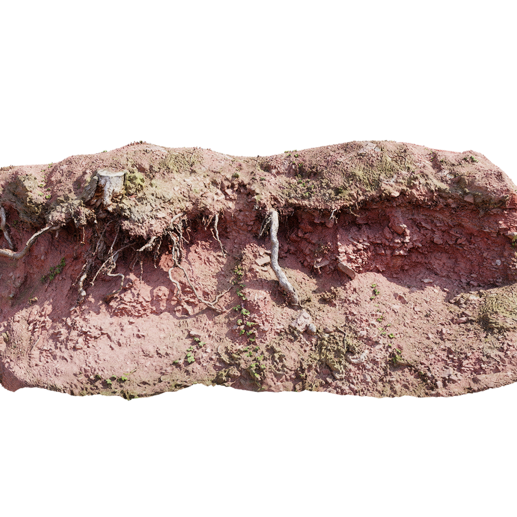 Overhang with Roots Gravel PBR Scan | Environment Elements models ...