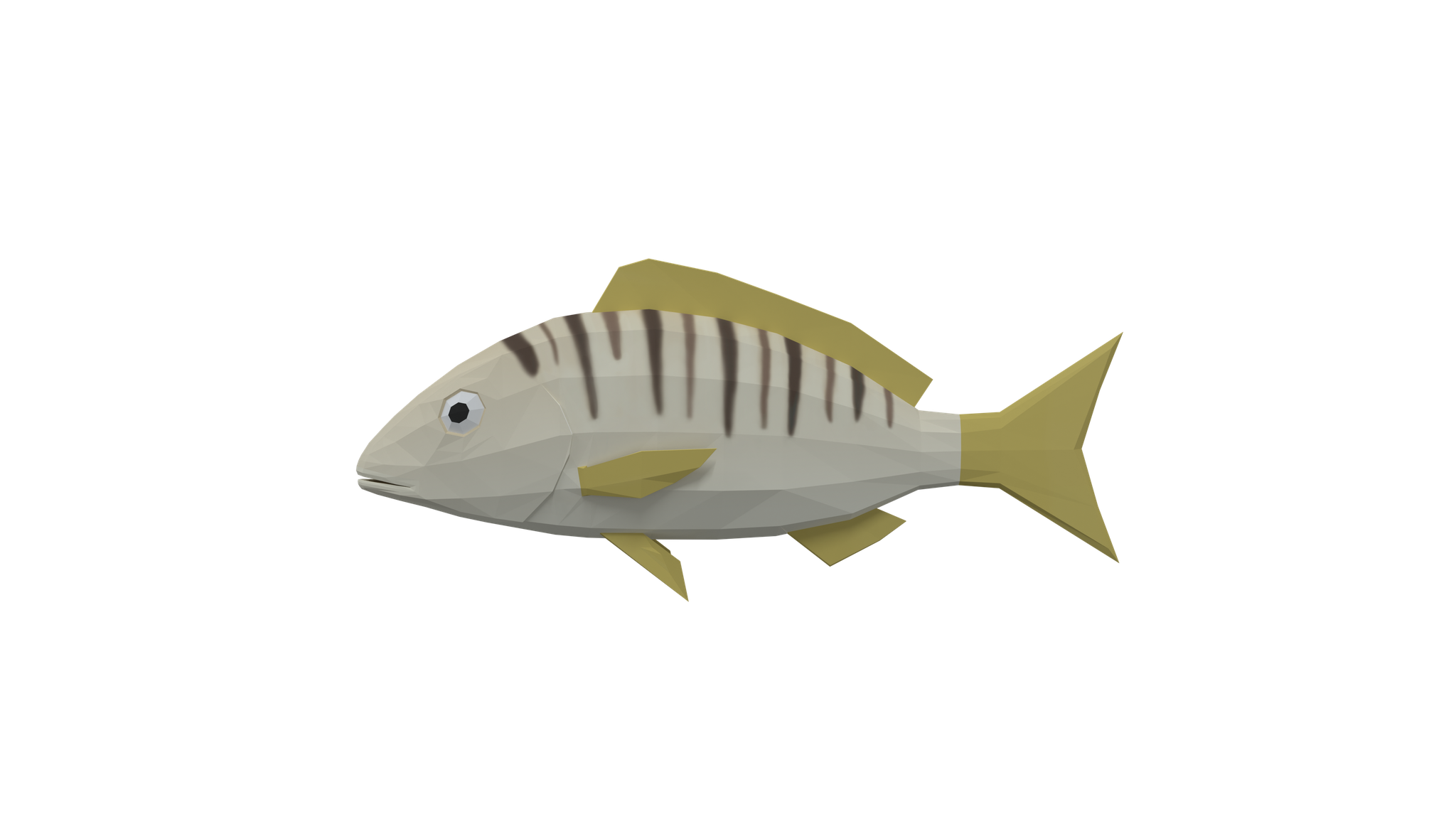Low Poly Animated Striped Seabream | 3D Fish models | BlenderKit