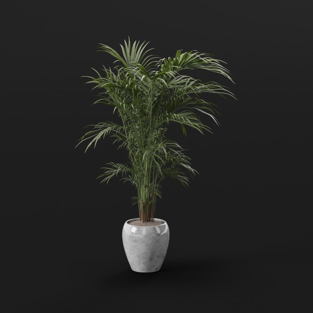 Elegant Areca Palm | Outdoor Plants models | BlenderKit