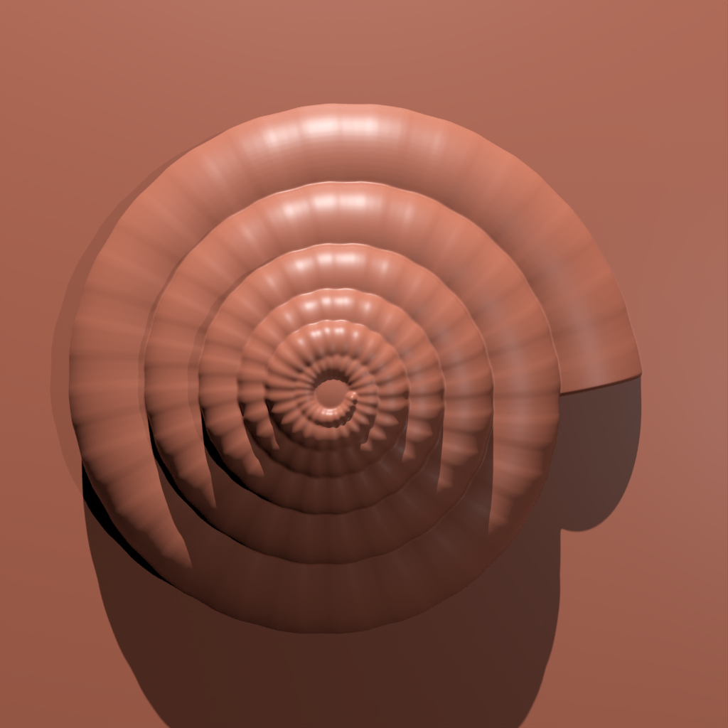 Spiral Shell Fossil | FREE nature brushes | BlenderKit