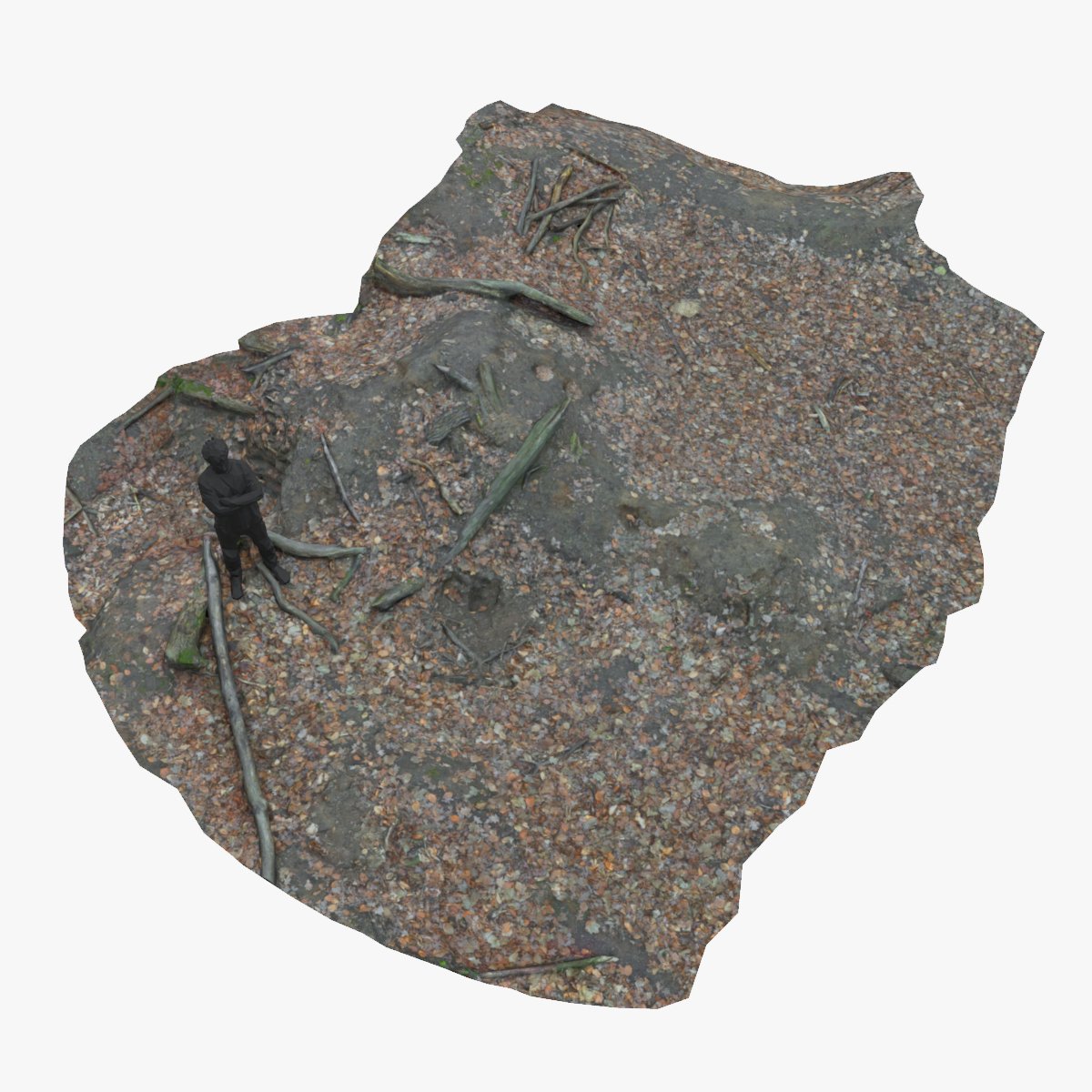 Forest Ground Leaves | Terrains models | BlenderKit