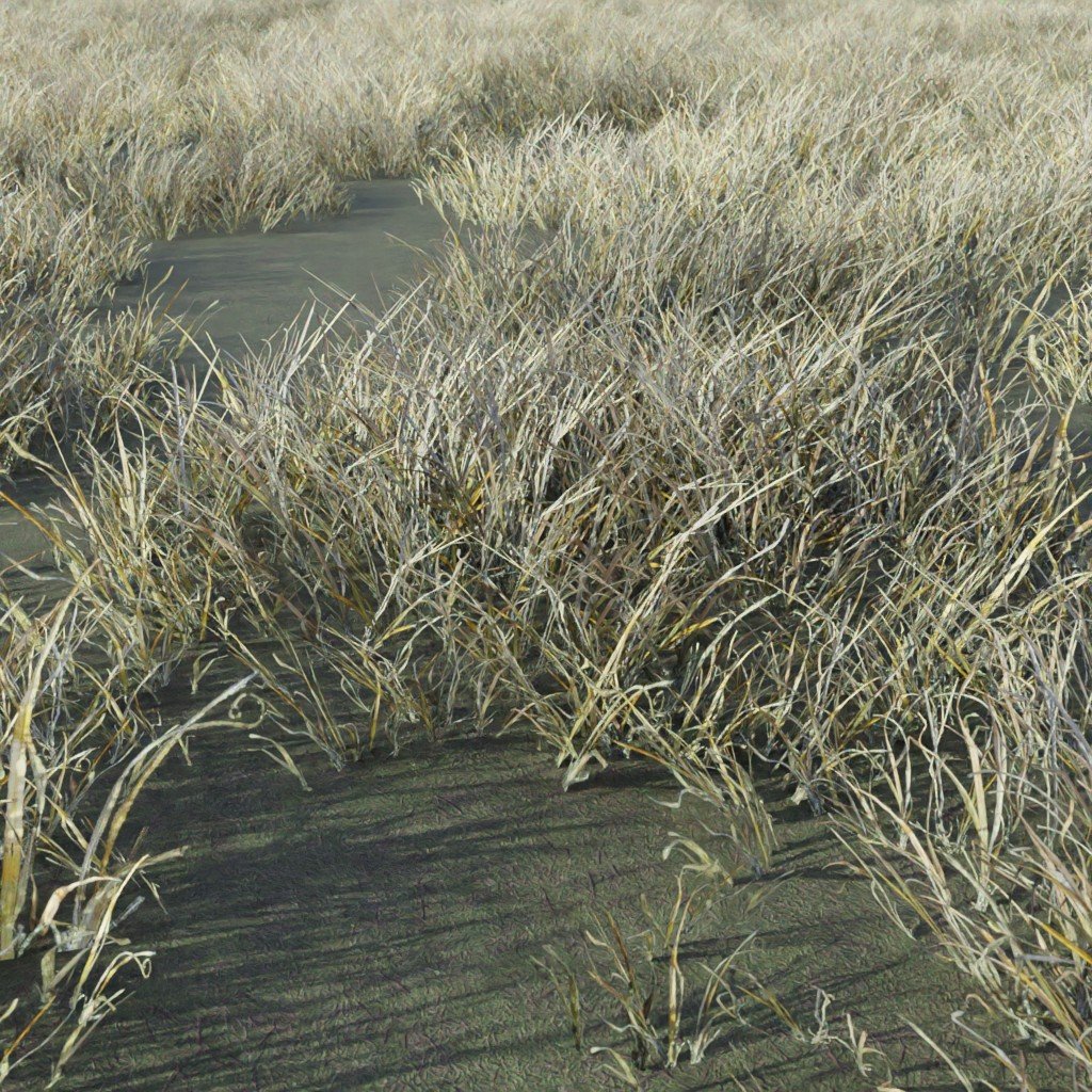 Grass Tabosa Sparce | Grass models | BlenderKit