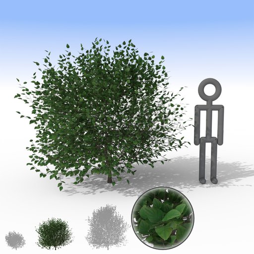 BlenderKit | Download the Mid Green Bush - Medium model
