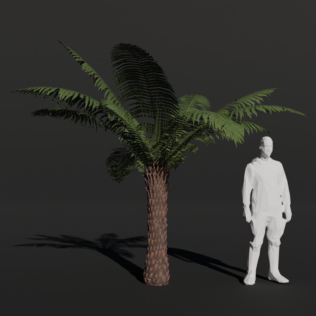 Tree Fern Small | Trees models | BlenderKit