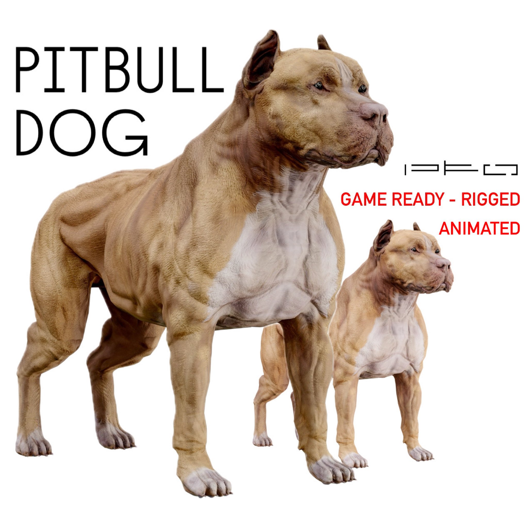 Pitbull american | Mammals models | BlenderKit