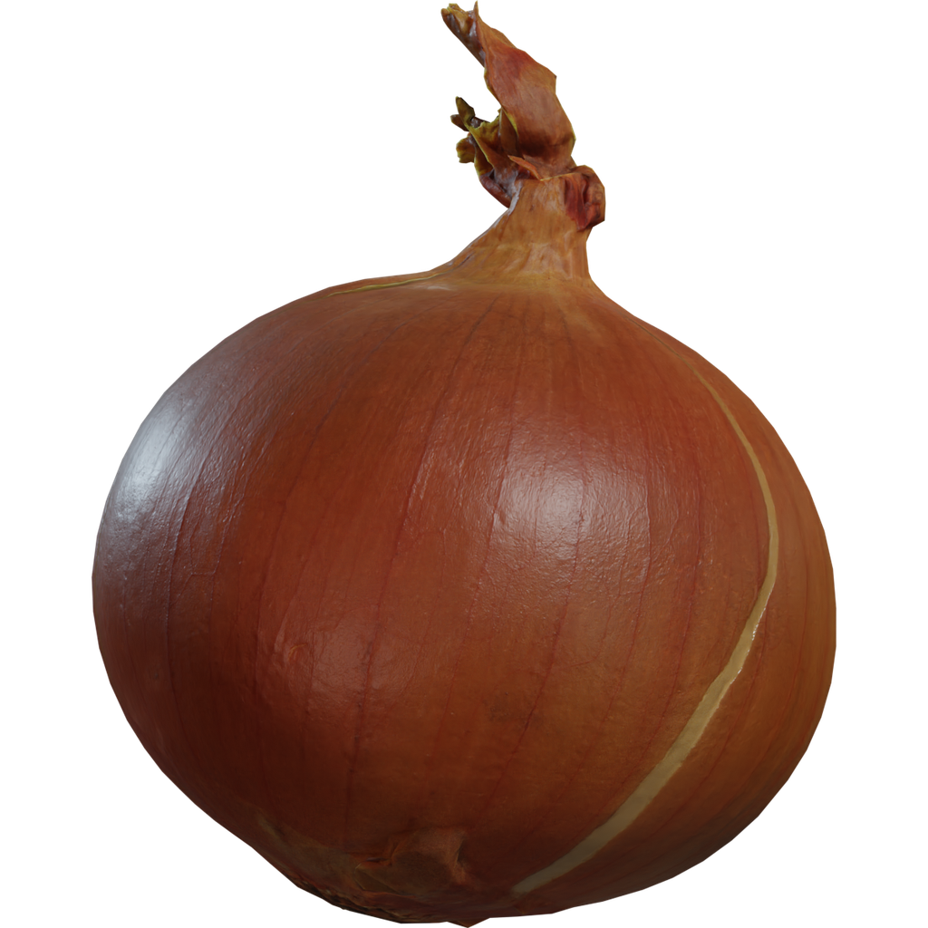 Yellow Onion | FREE Fruit & Vegetables models | BlenderKit