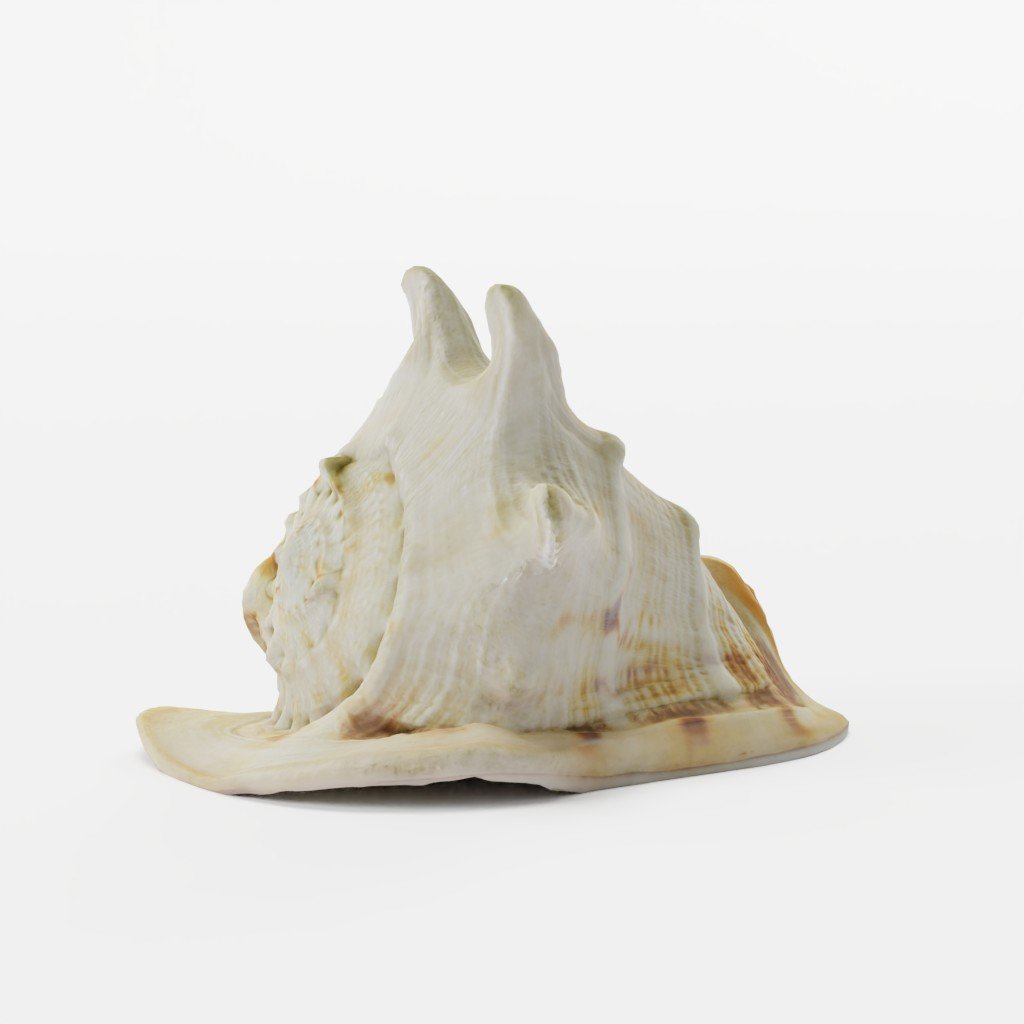 Shell lowpoly | FREE Miscellaneous models | BlenderKit