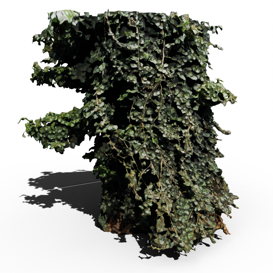 Tree with Vines | FREE Trees models | BlenderKit