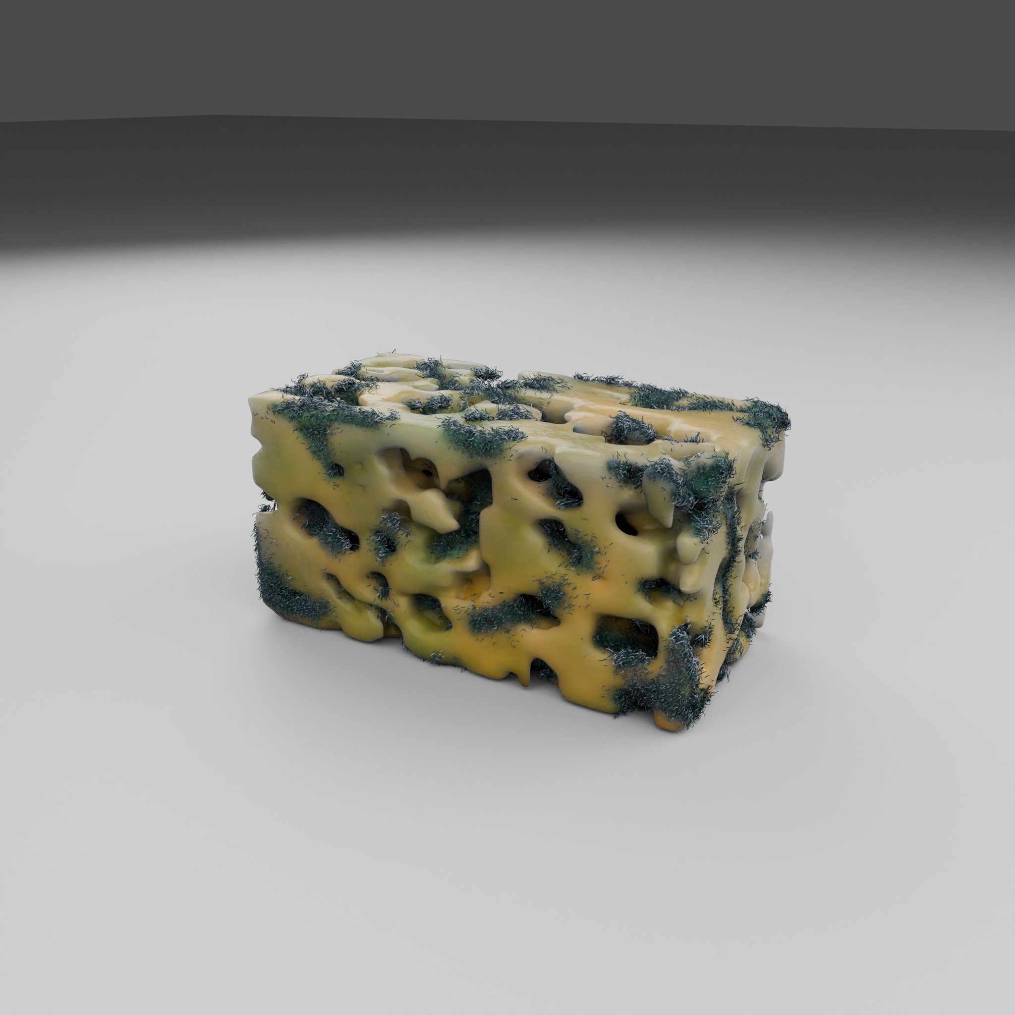 Block of hairy moldy cheese | FREE Food models | BlenderKit