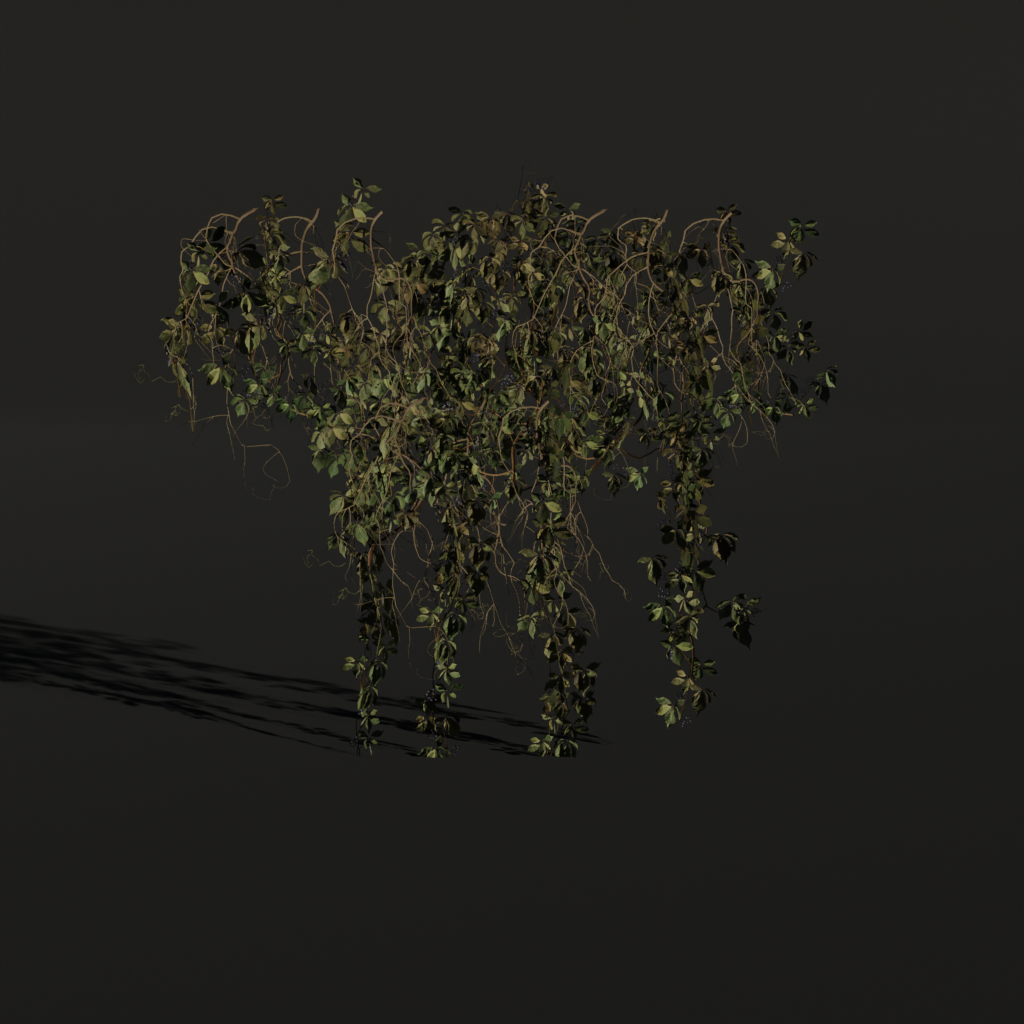 Creepers Vine b2 | Trees models | BlenderKit