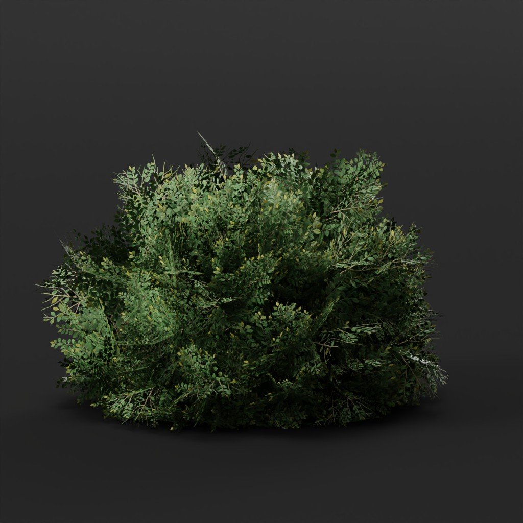 Holly Bush | Outdoor Plants models | BlenderKit