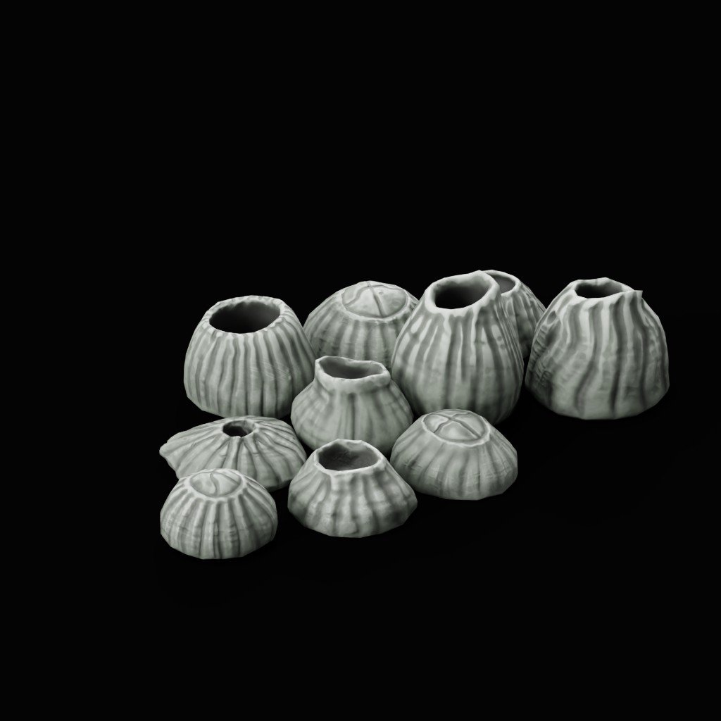 Barnacles | FREE Nature models | BlenderKit