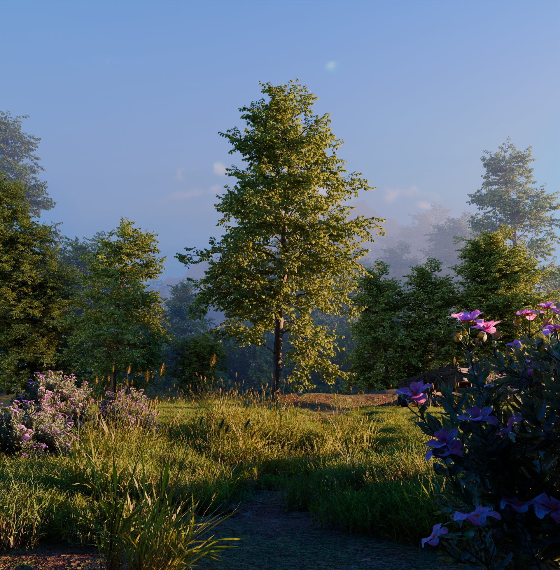 Forest field | Nature scenes | BlenderKit