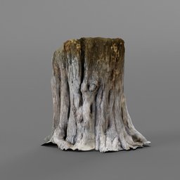 Trunk Aged | FREE Trees models | BlenderKit