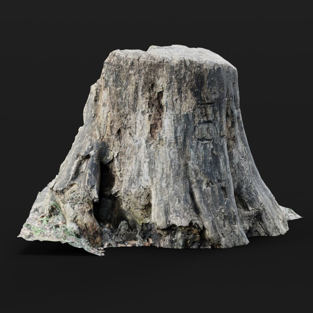 Tree Trunk (Photoscanned) | FREE Trees models | BlenderKit