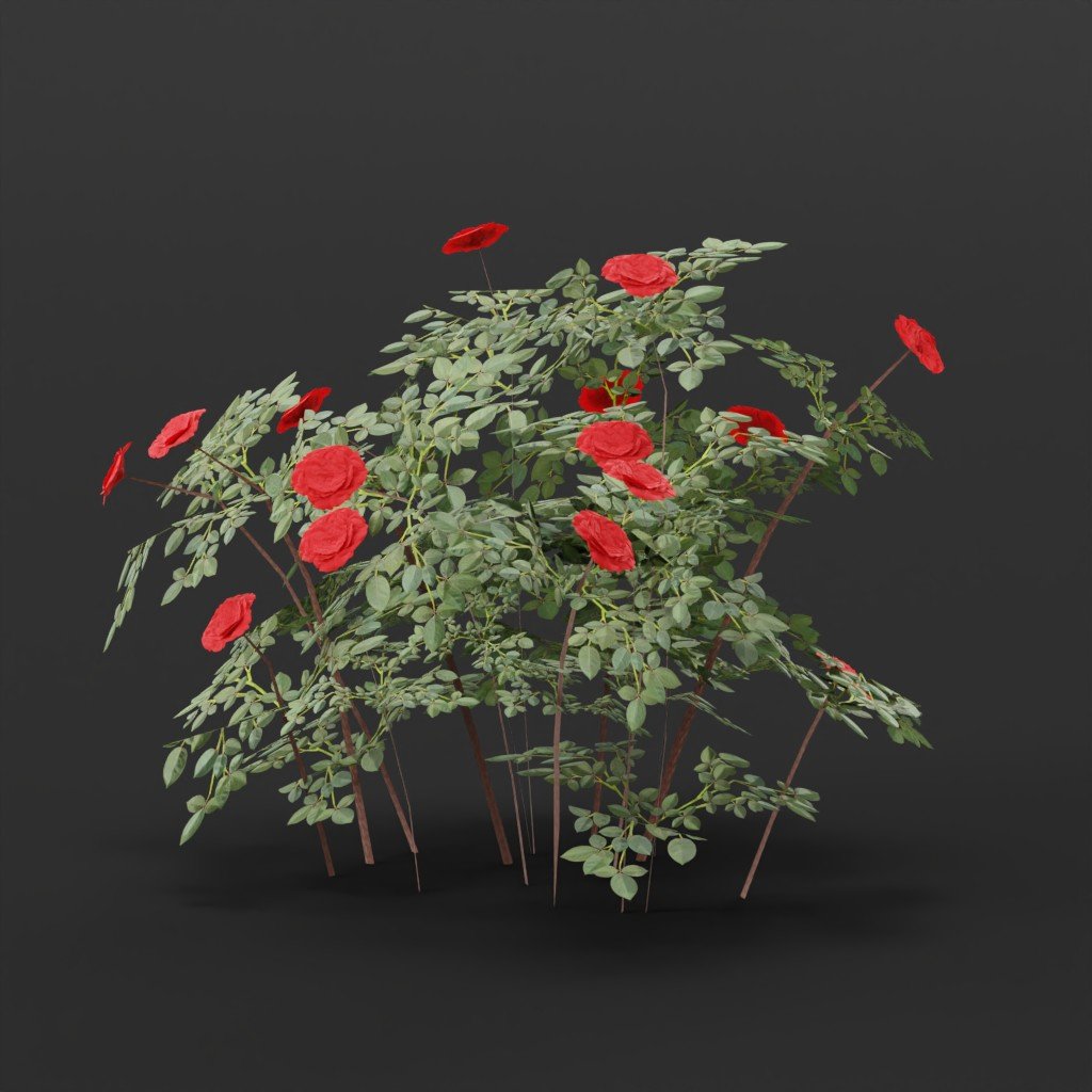 BlenderKit | Download the Flower Rose Small model