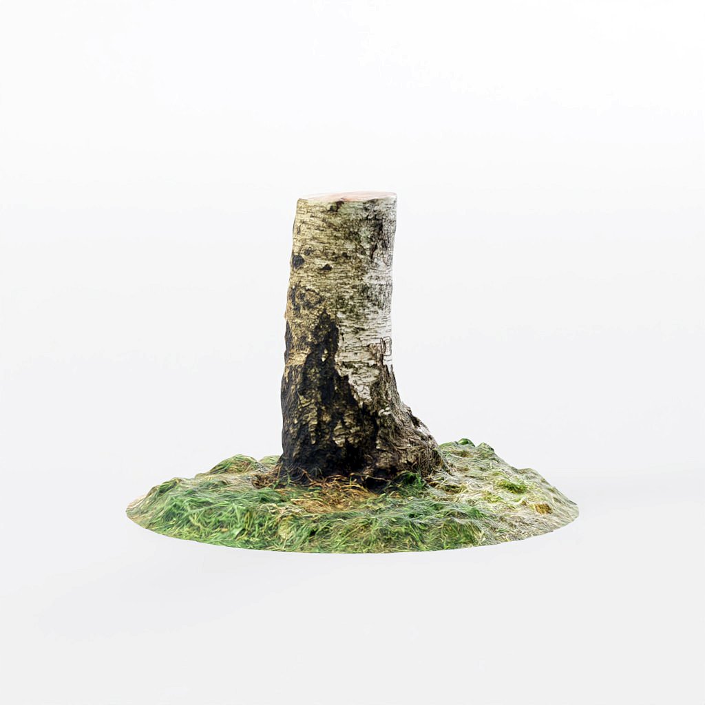 Tree Stump | 3D Tree models | BlenderKit