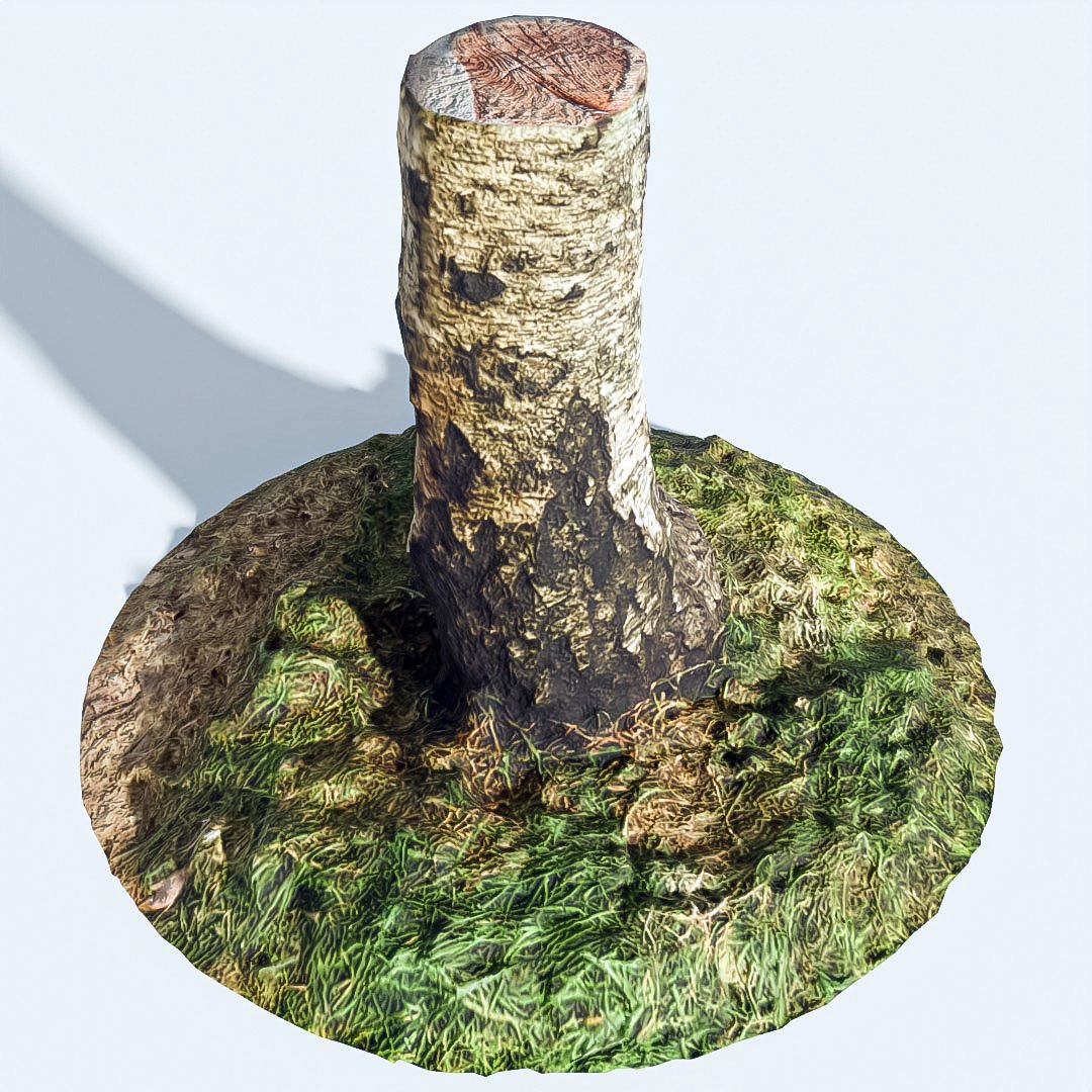 Tree Stump | Trees models | BlenderKit