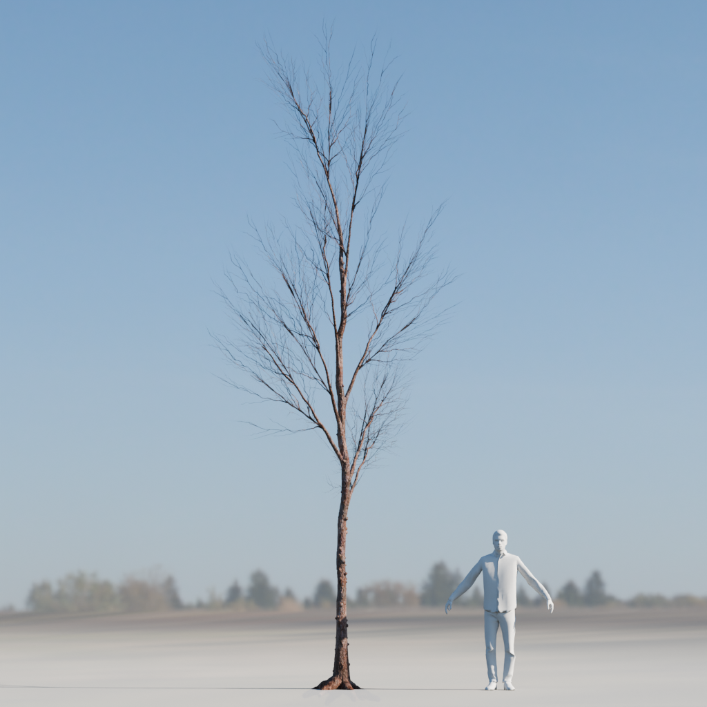 Dry Tree Low Poly Animated | Trees models | BlenderKit