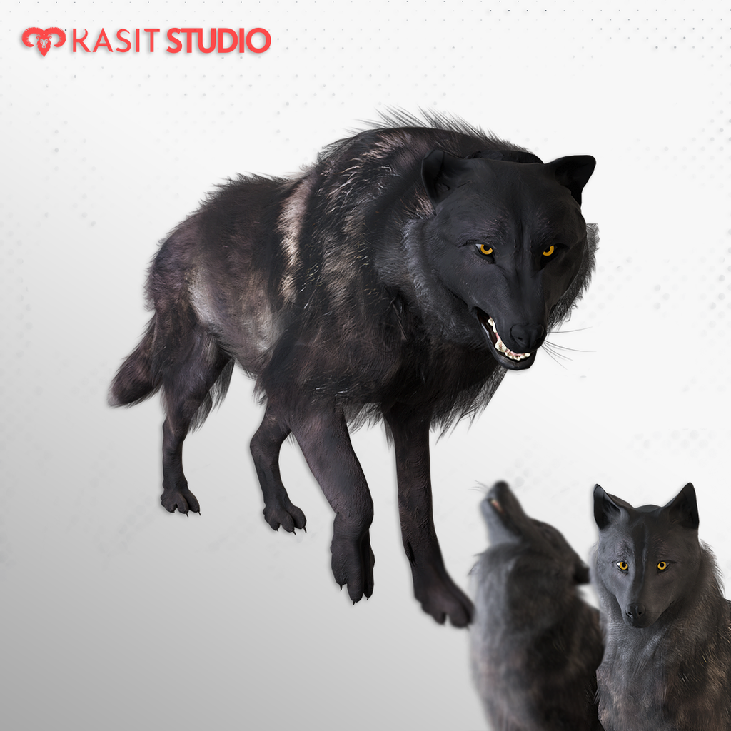 Black Wolf (Animated , rigged ) | Mammals models | BlenderKit