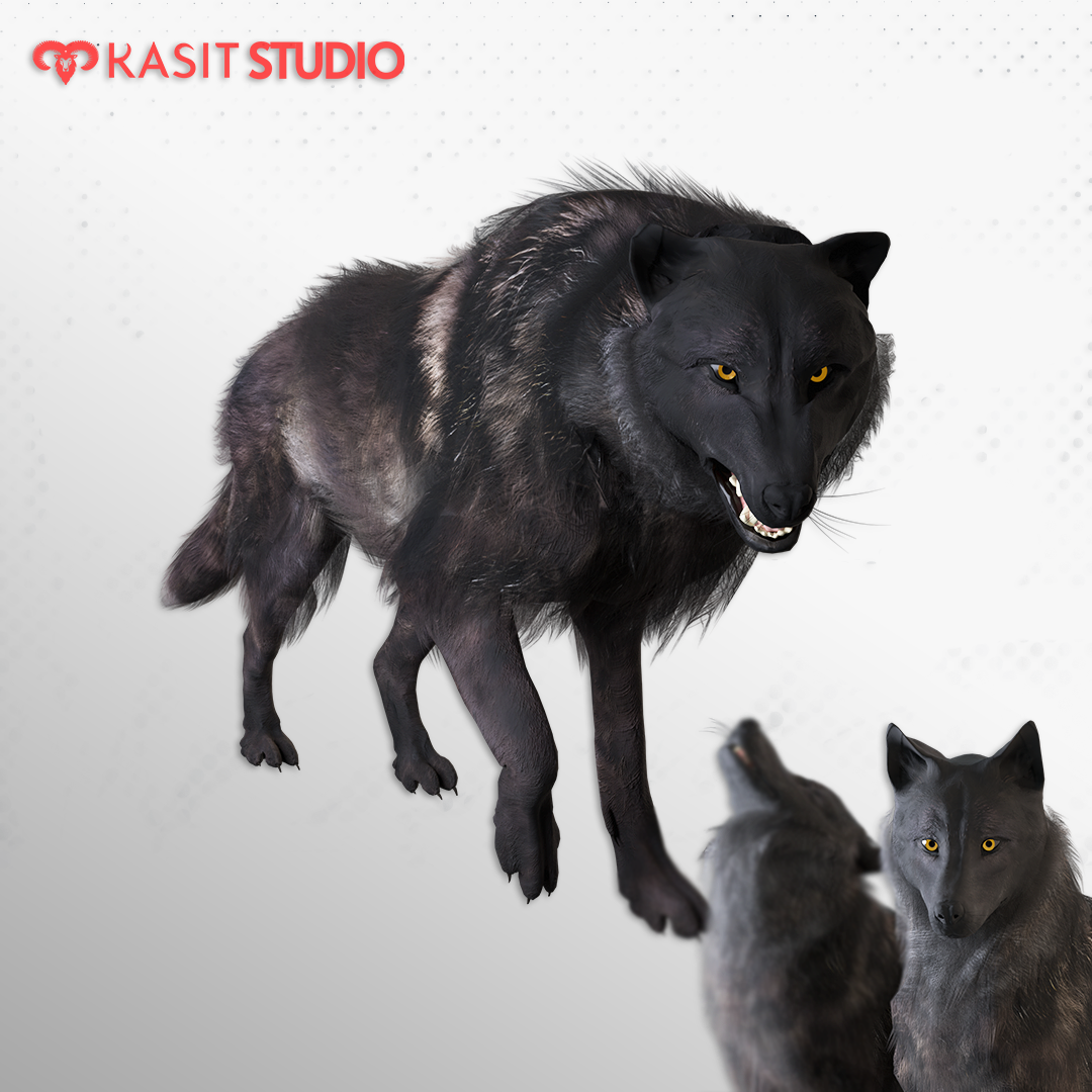 Black Wolf (Animated , rigged ) | Mammals models | BlenderKit