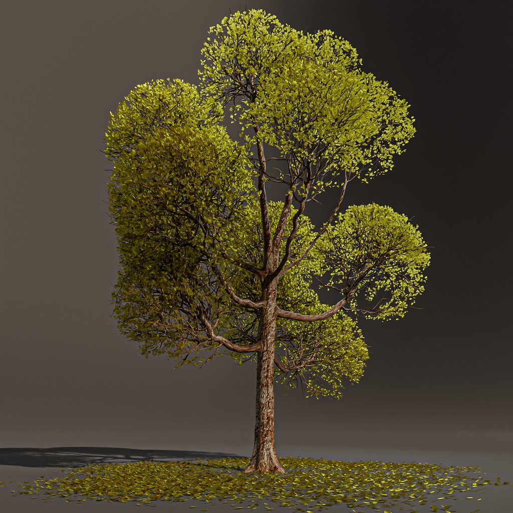 BlenderKit | Download the Autom tree model