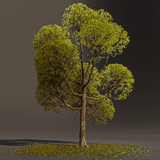 Autom tree | Trees models | BlenderKit