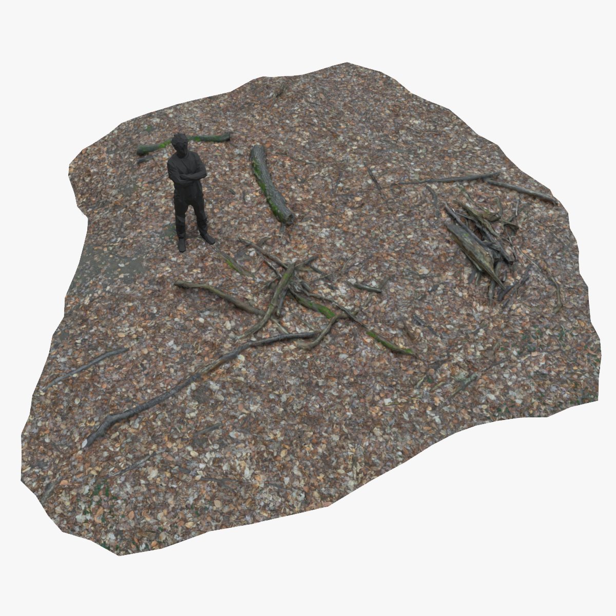 Forest Ground Leaves | Terrains models | BlenderKit