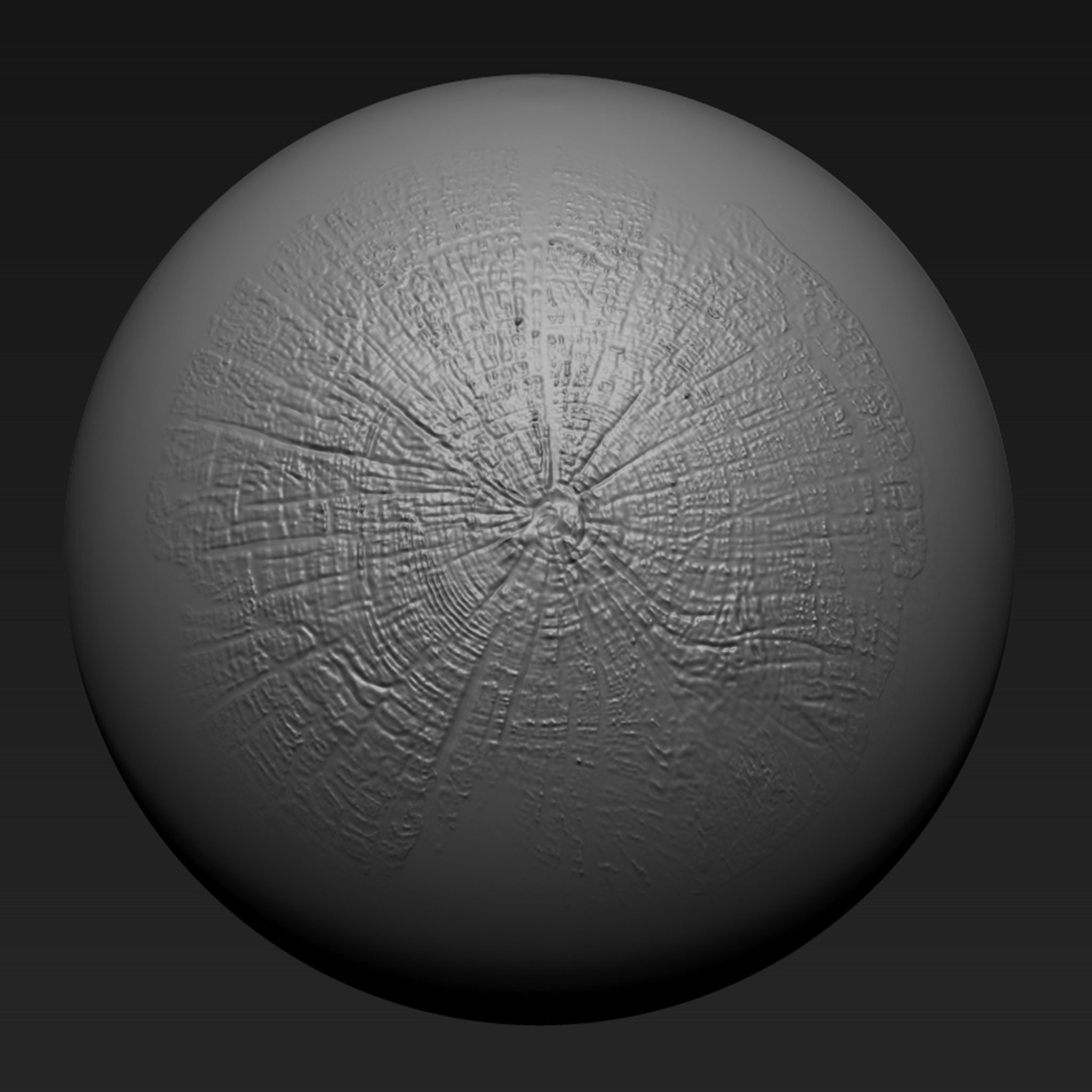 NS Tree surface cross section | wood brushes | BlenderKit