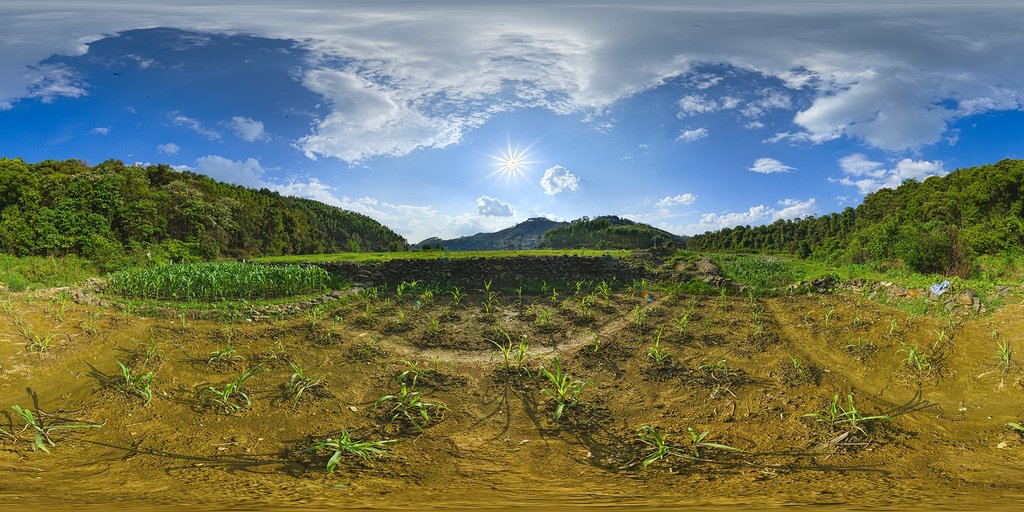 Yellow crops during the day | Holiday HDRis | BlenderKit