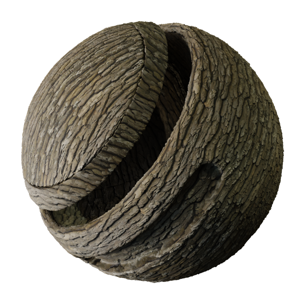 Tree Trunk Bark 02 (PBR) | FREE wood materials | BlenderKit