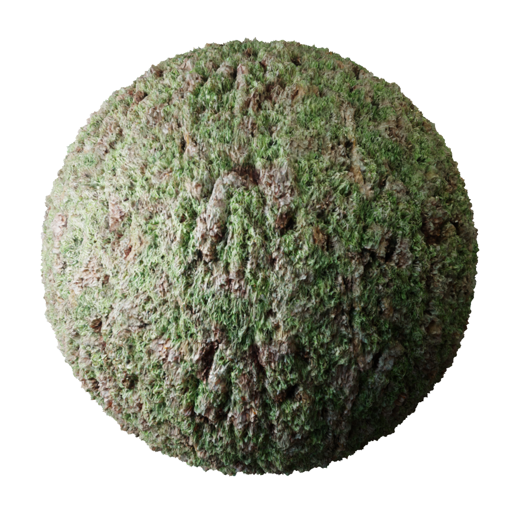 Bark Pine Moss | FREE organic materials | BlenderKit