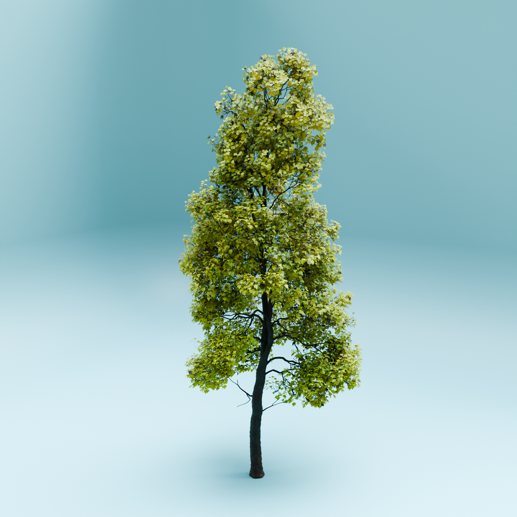 Tree variation in autumn 01 | FREE Trees models | BlenderKit
