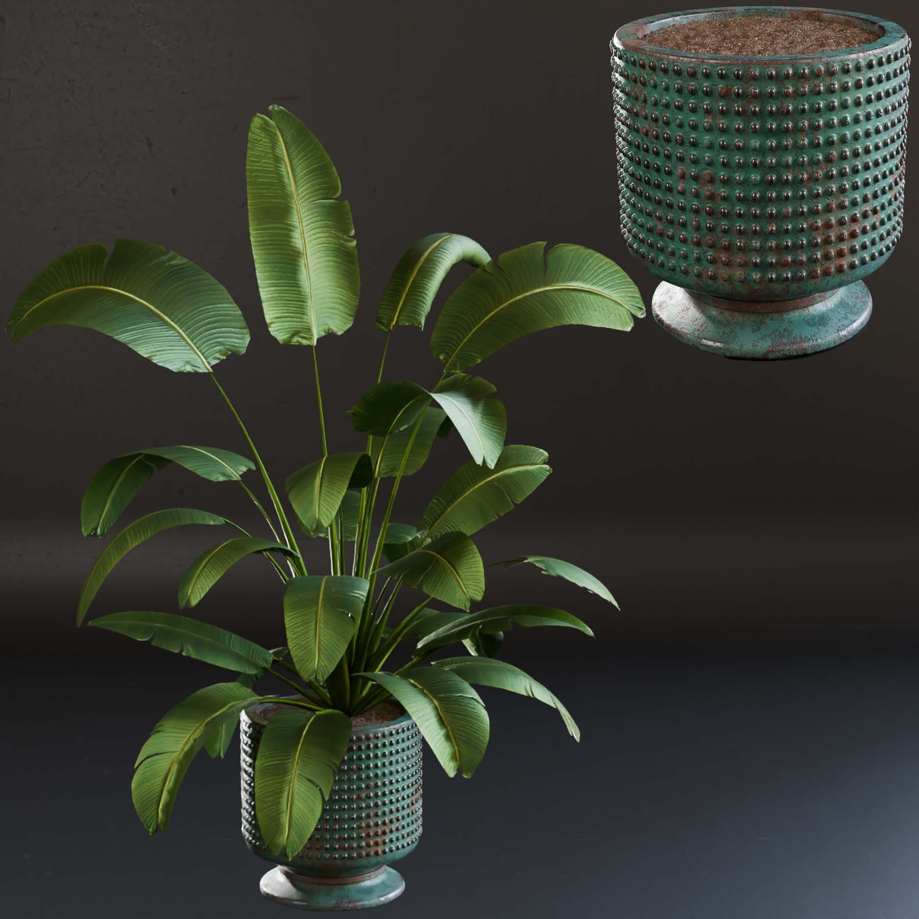 SJ-strelitzia-dirt pot 04 | Indoor Plants models | BlenderKit