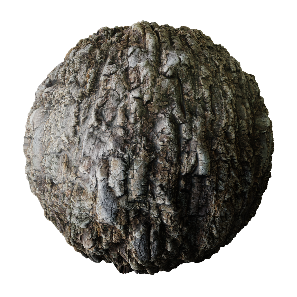 Rough Tree Bark Material | FREE wood materials | BlenderKit