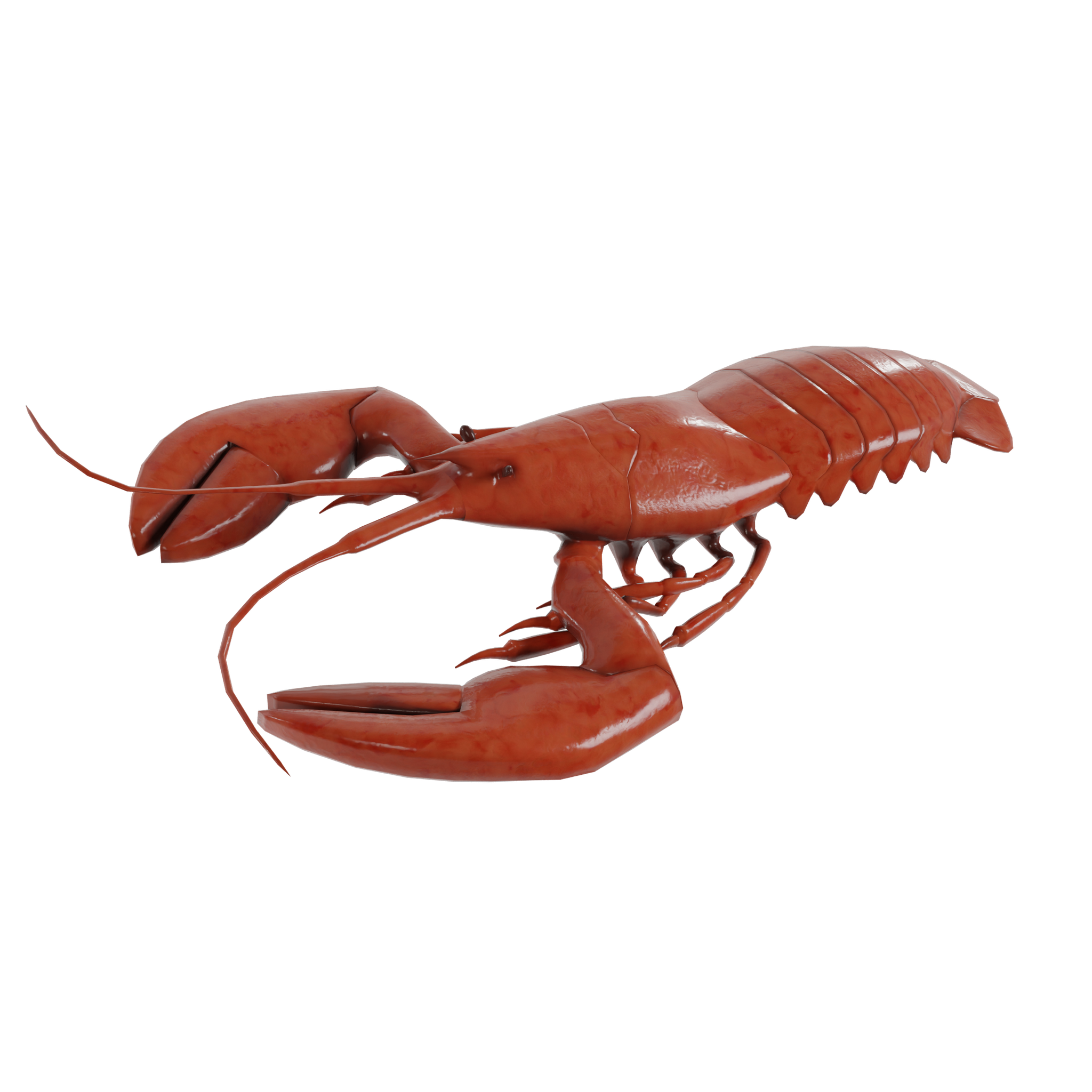 Lobster | Food models | BlenderKit
