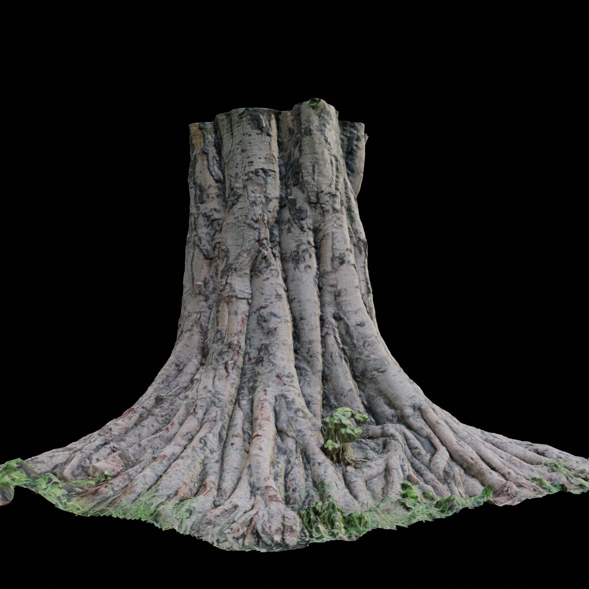 Tree | FREE Trees models | BlenderKit