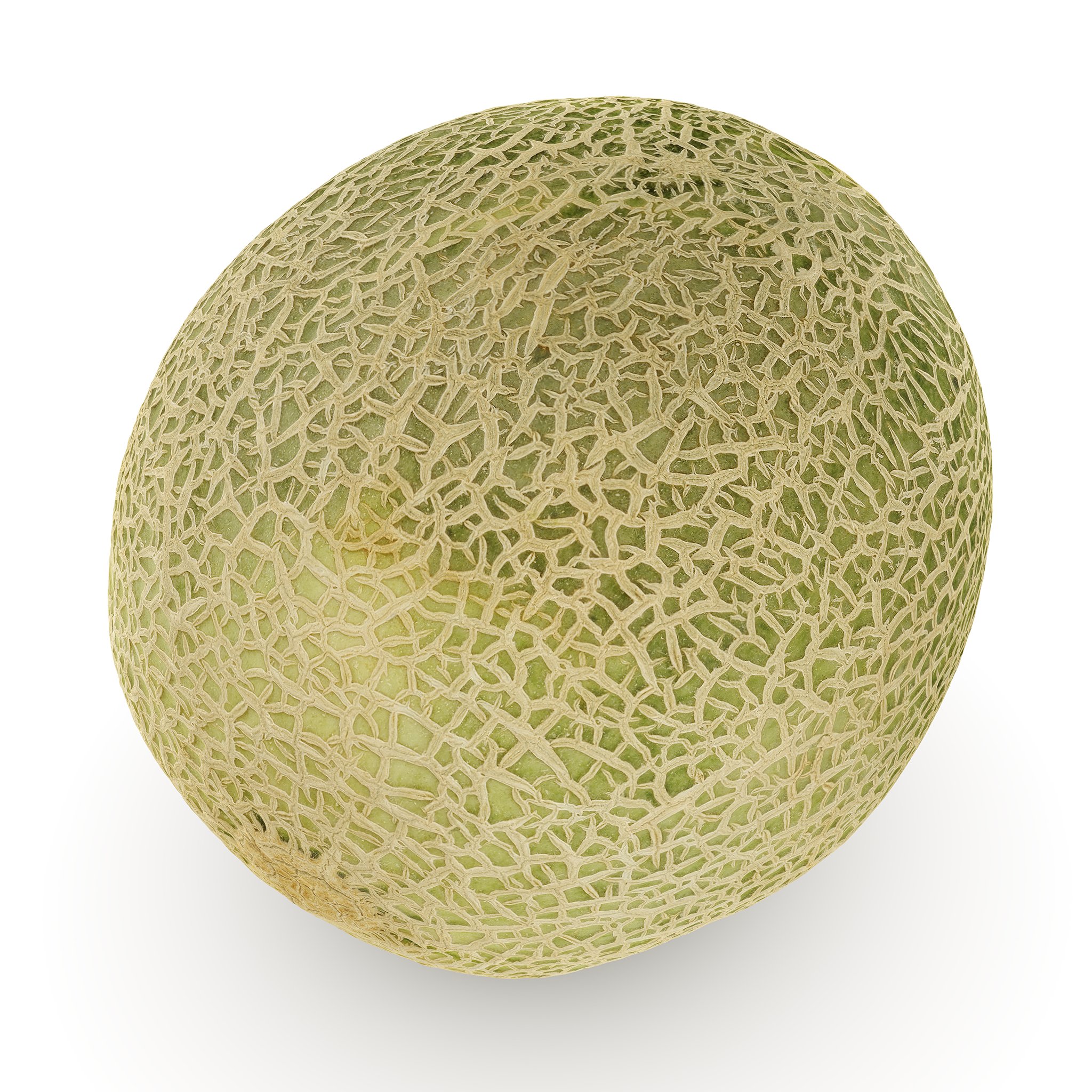 Cantaloupe big fruit melon food kitchen | Fruit & Vegetables models ...