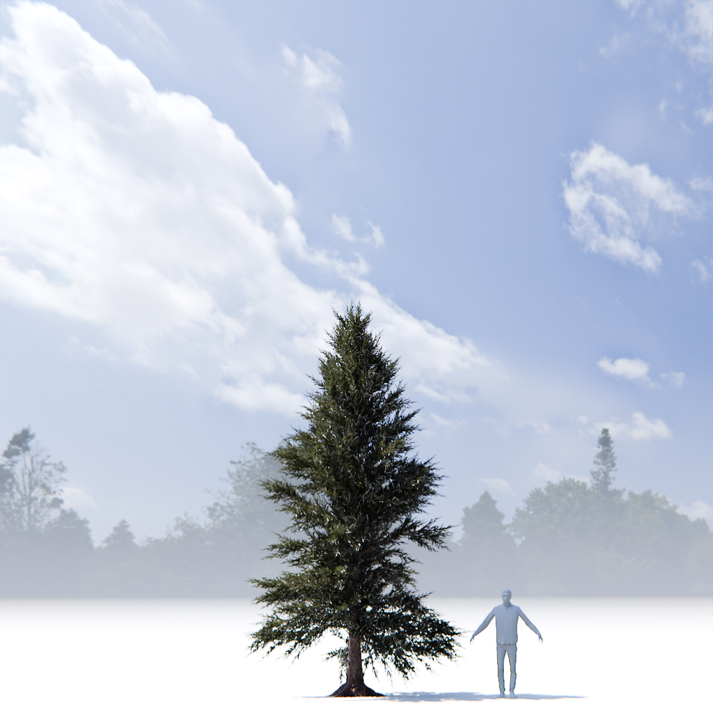 Pine tree variation | Trees models | BlenderKit