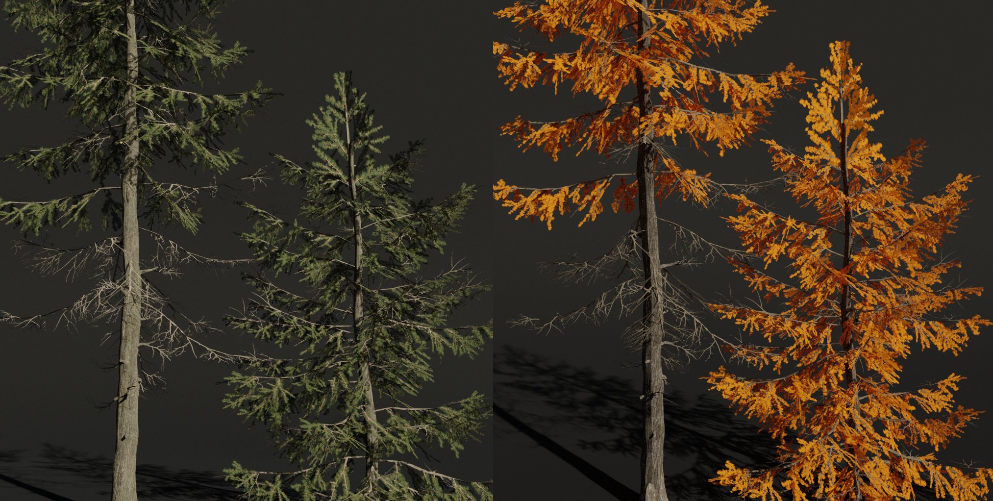 Tree European Larch a1 | Trees models | BlenderKit